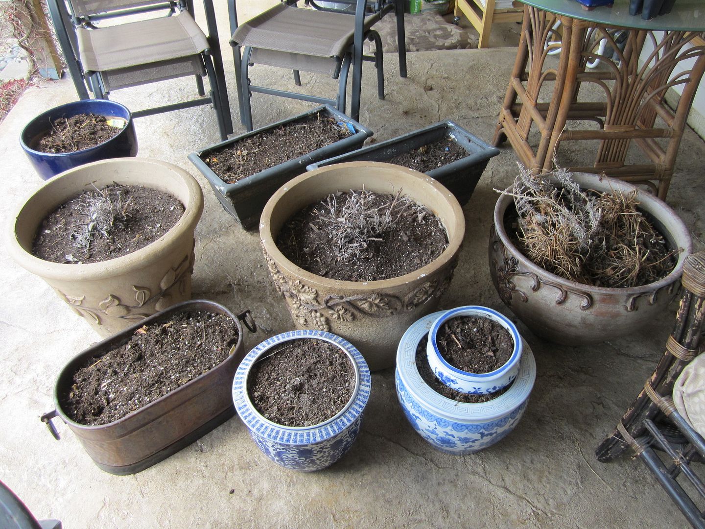 Tips for Prepping Pots for Planting | My Urban Garden Oasis