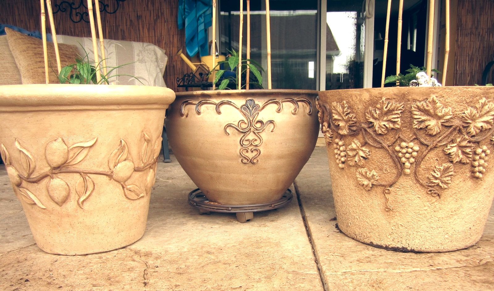 How to Fill Flower Pots on a Budget | My Urban Garden Oasis