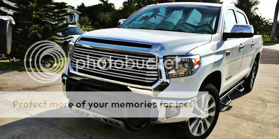 Bull bars and push bars? | Toyota Tundra Discussion Forum