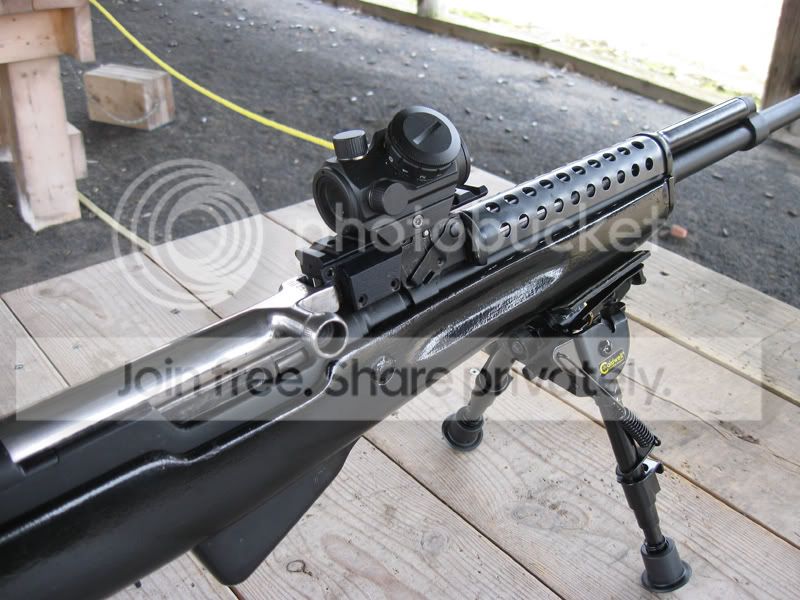 Which red dot? | Canadian Gun Nutz